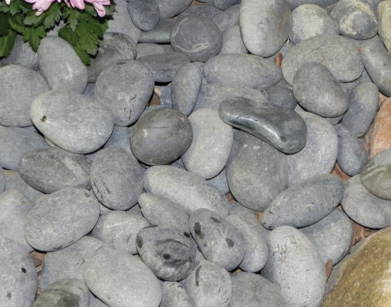 Mexican Pebbles – Lang Stone